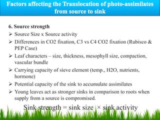 Source and sink relationship pptx.pptx
