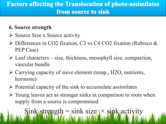 Source and sink relationship pptx.pptx | Gardening | Home & Garden