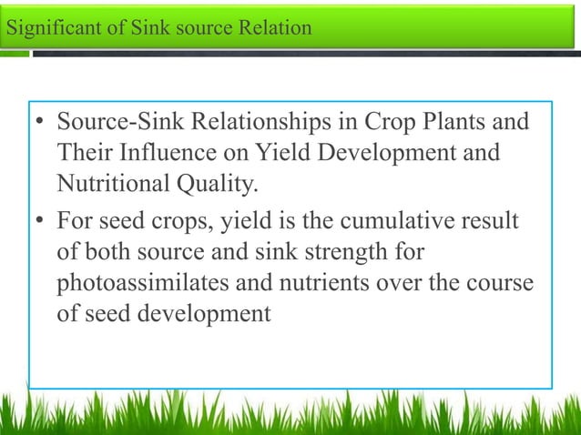Source and sink relationship pptx.pptx | Gardening | Home & Garden