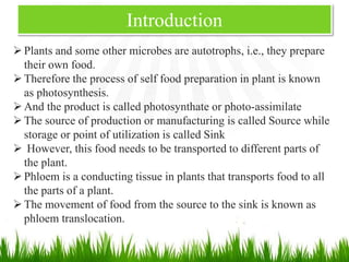 Source and sink relationship pptx.pptx