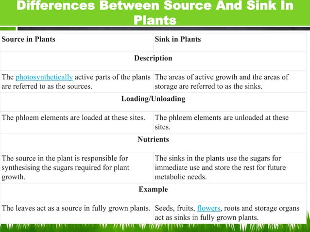 Source and sink relationship pptx.pptx | Gardening | Home & Garden
