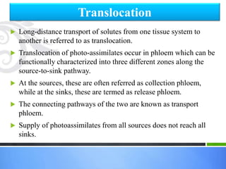 Source and sink relationship pptx.pptx