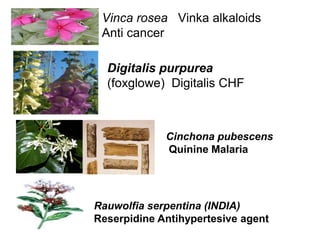 Source of drugs | PPTX