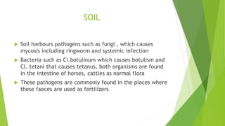 Source of infection | PPTX