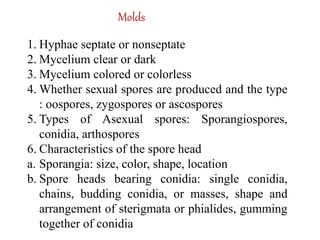 Source of microbes in food.pptx