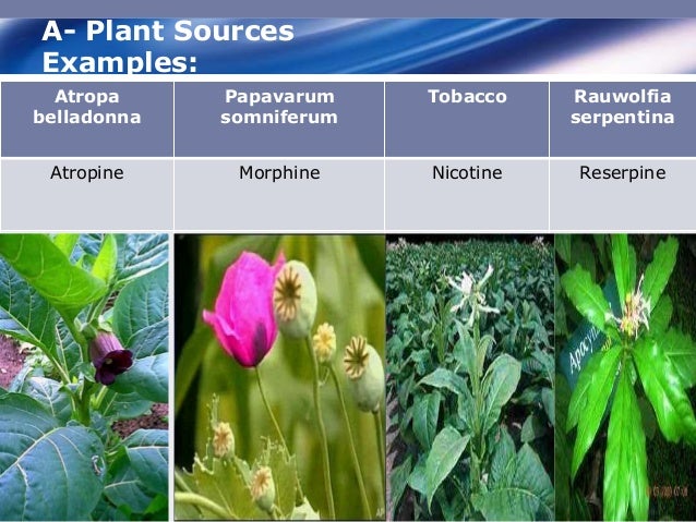 Sources and dosage forms of drugs