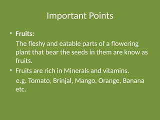 Sources-of-food-PPT-3.pptxnojbojkl,,,,,,.;/ | PPTX