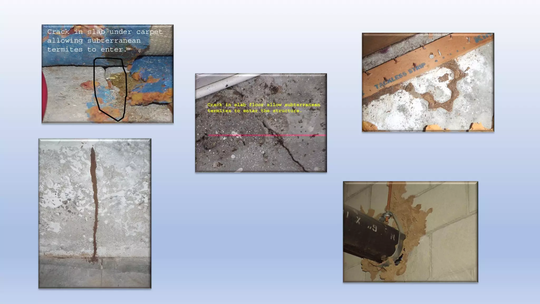 Sources and Causes of Conducive Conditions (1).pdf