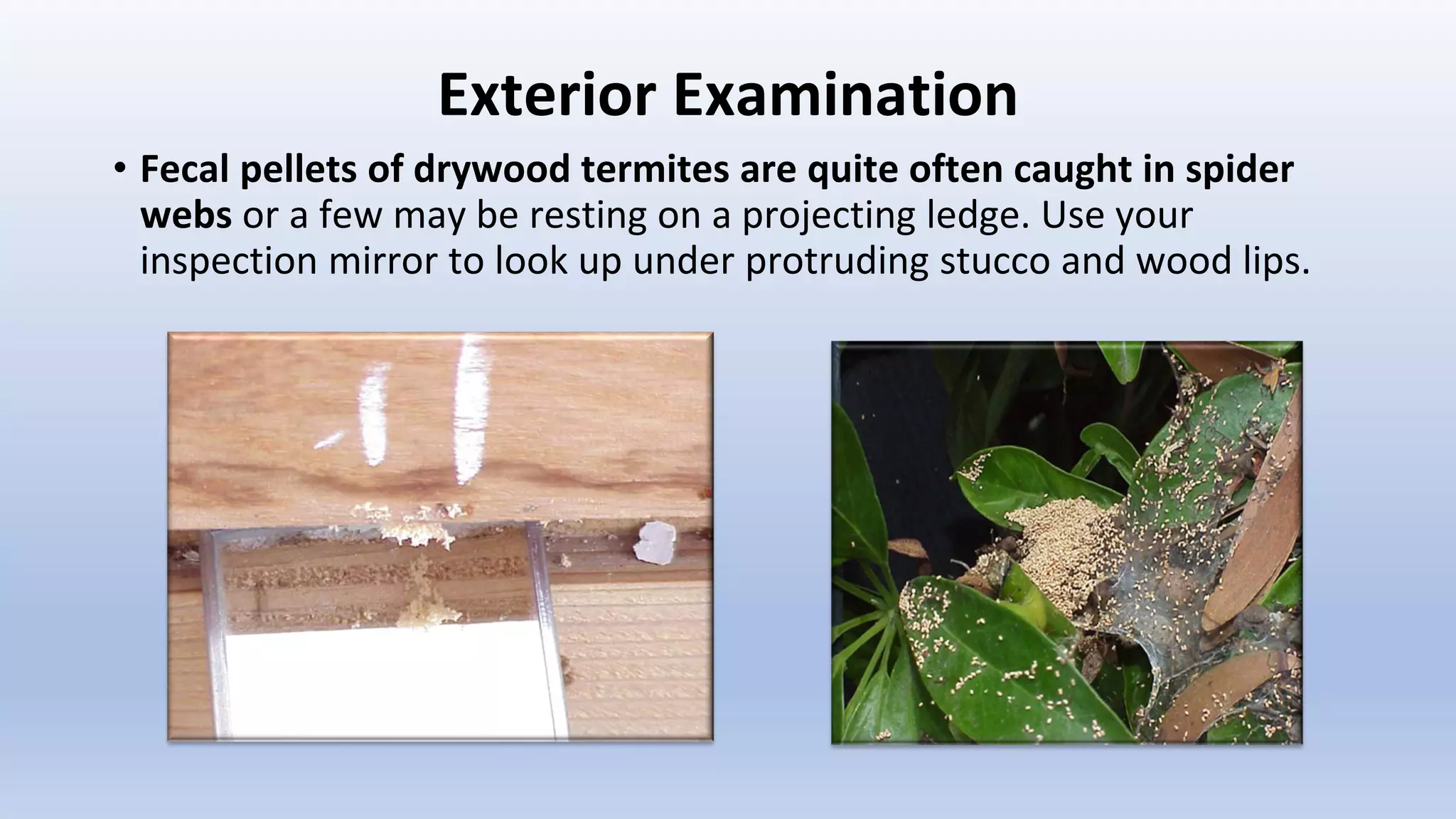 Sources and Causes of Conducive Conditions (1).pdf