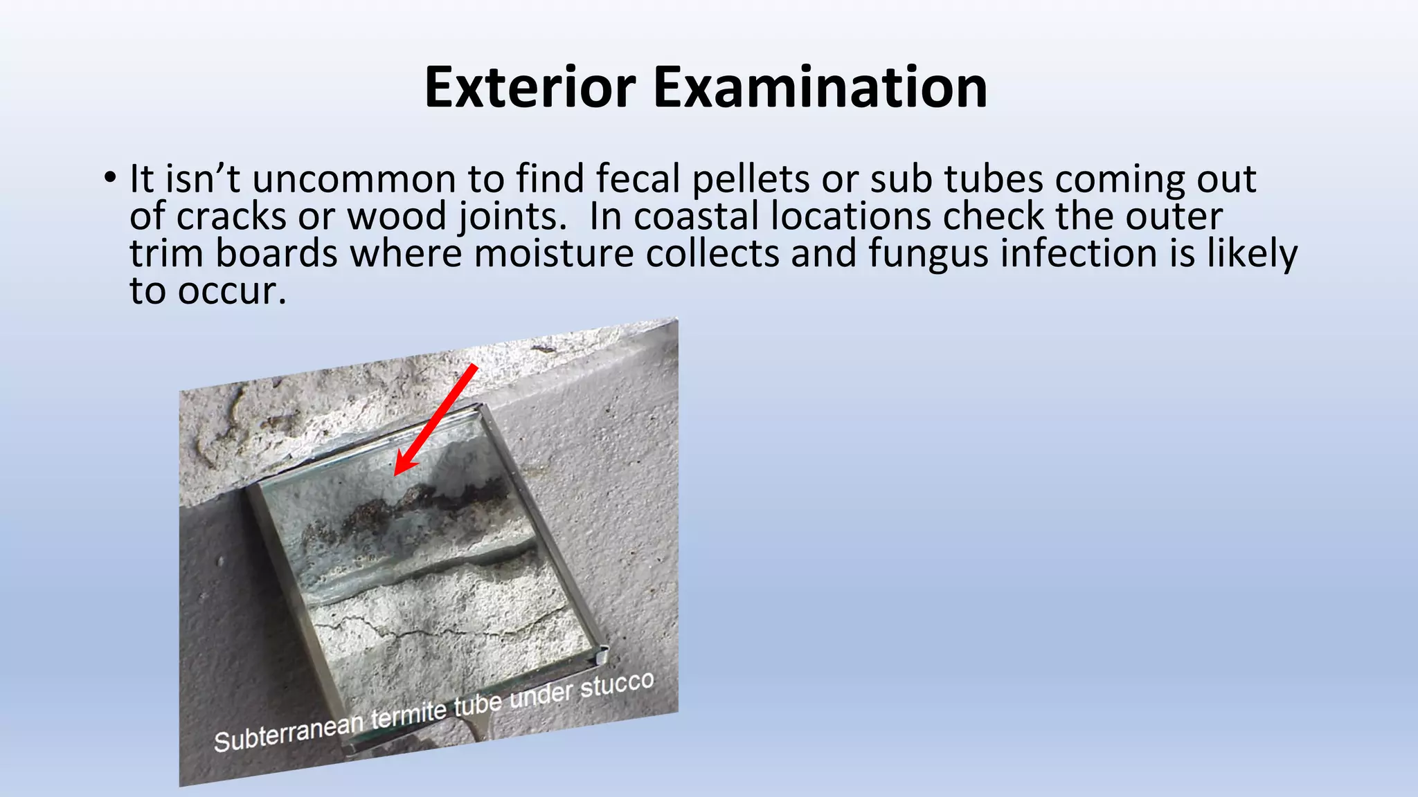 Sources and Causes of Conducive Conditions (1).pdf