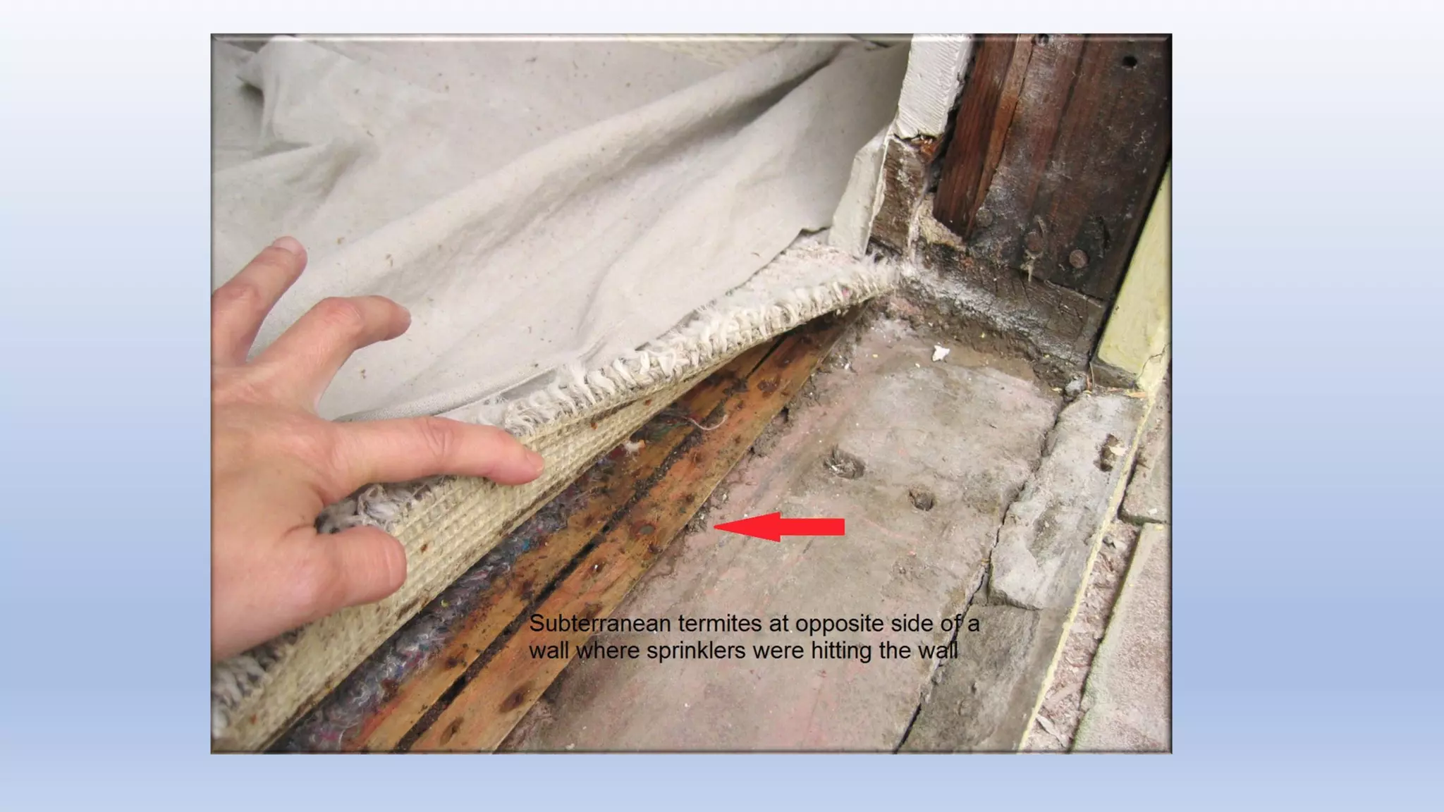 Sources and Causes of Conducive Conditions (1).pdf