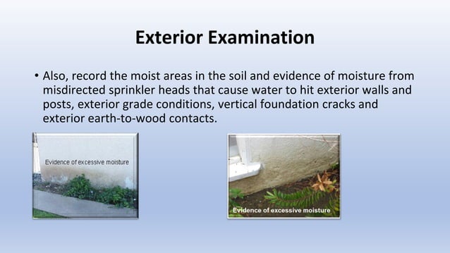 Sources and Causes of Conducive Conditions (1).pdf