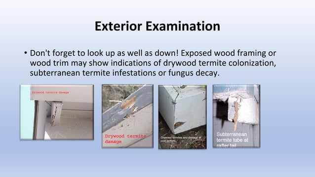 Sources and Causes of Conducive Conditions (1).pdf