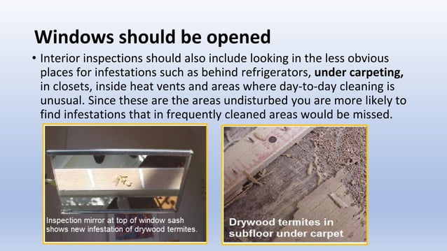 Sources and Causes of Conducive Conditions (1).pdf