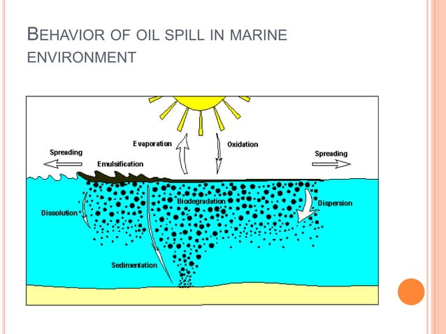 Sources and effects of oil pollution in marine environment | PPTX