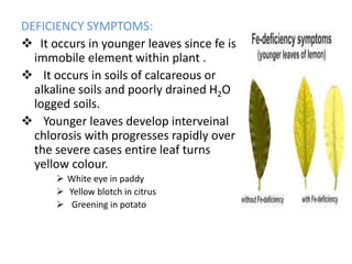 SOURCES ,FORMS ,MOBILITY , TRANSFORMATION ,FIXATION , LOSSES AND ...