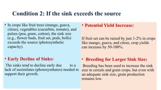 SOURCE SINK RELATIONSHIP AND INFLUENCE ON GROWTH | PPTX