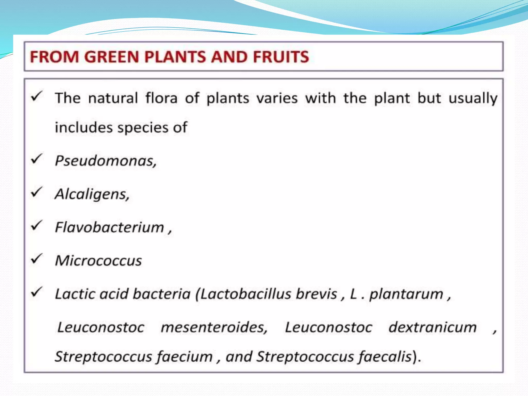 Sources of Contamination of Food PPT | PPTX
