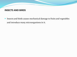 Sources of Contamination of Food PPT | PPT