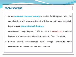 Sources of Contamination of Food PPT | PPT