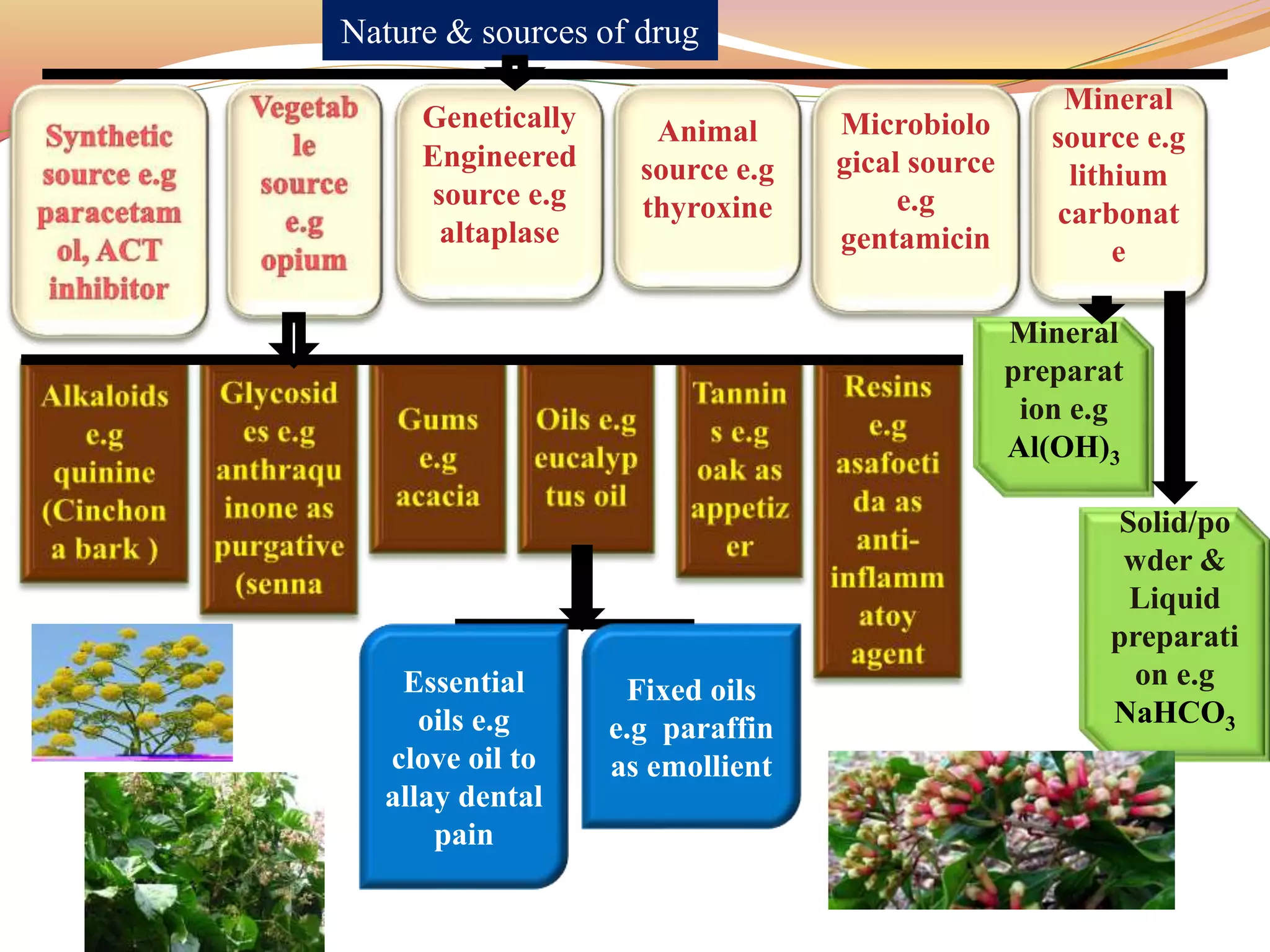 Nature & Sources of drug.pptx