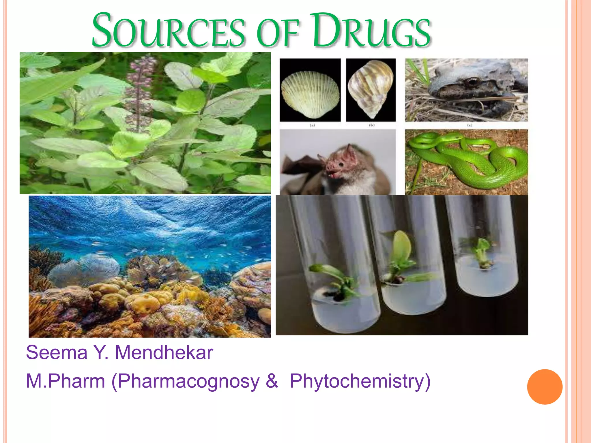 Sources of drugs.pptx