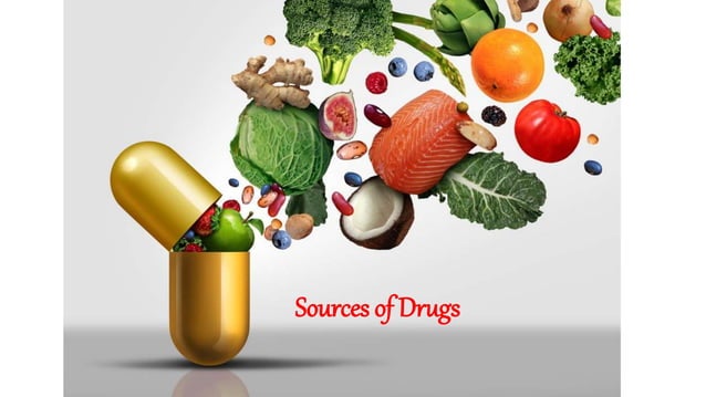 Sources of Drugs pharmacology presentation 1.pptx