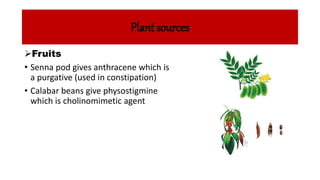 Sources of Drugs pharmacology presentation 1.pptx
