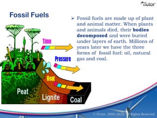 Sources of Energy | PPTX