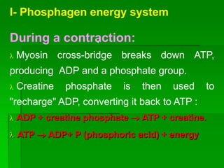 Sources of energy dr gad | PPT