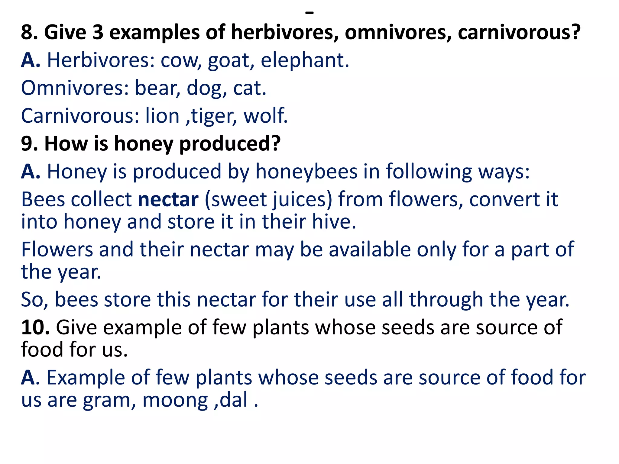 Sources of food | PPTX
