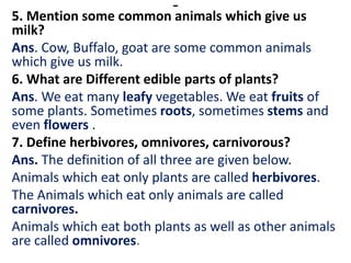 Sources of food | PPTX
