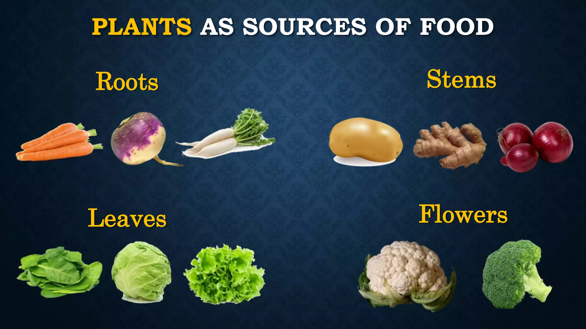 Sources of food Class 6 | PPTX