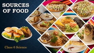Sources of food Class 6 | PPTX
