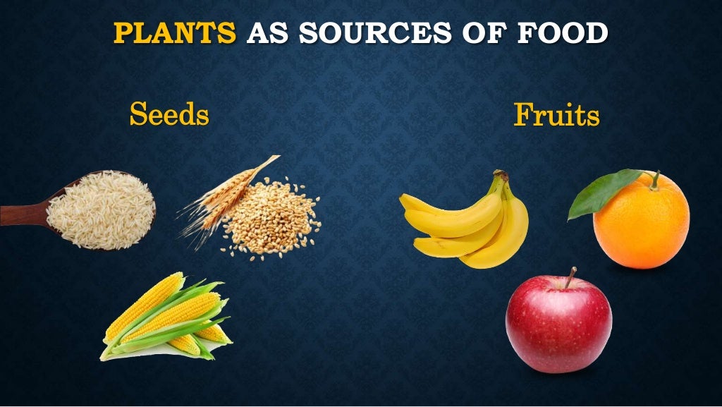 Sources Of Food Class 6 Sources Of Food Class 6