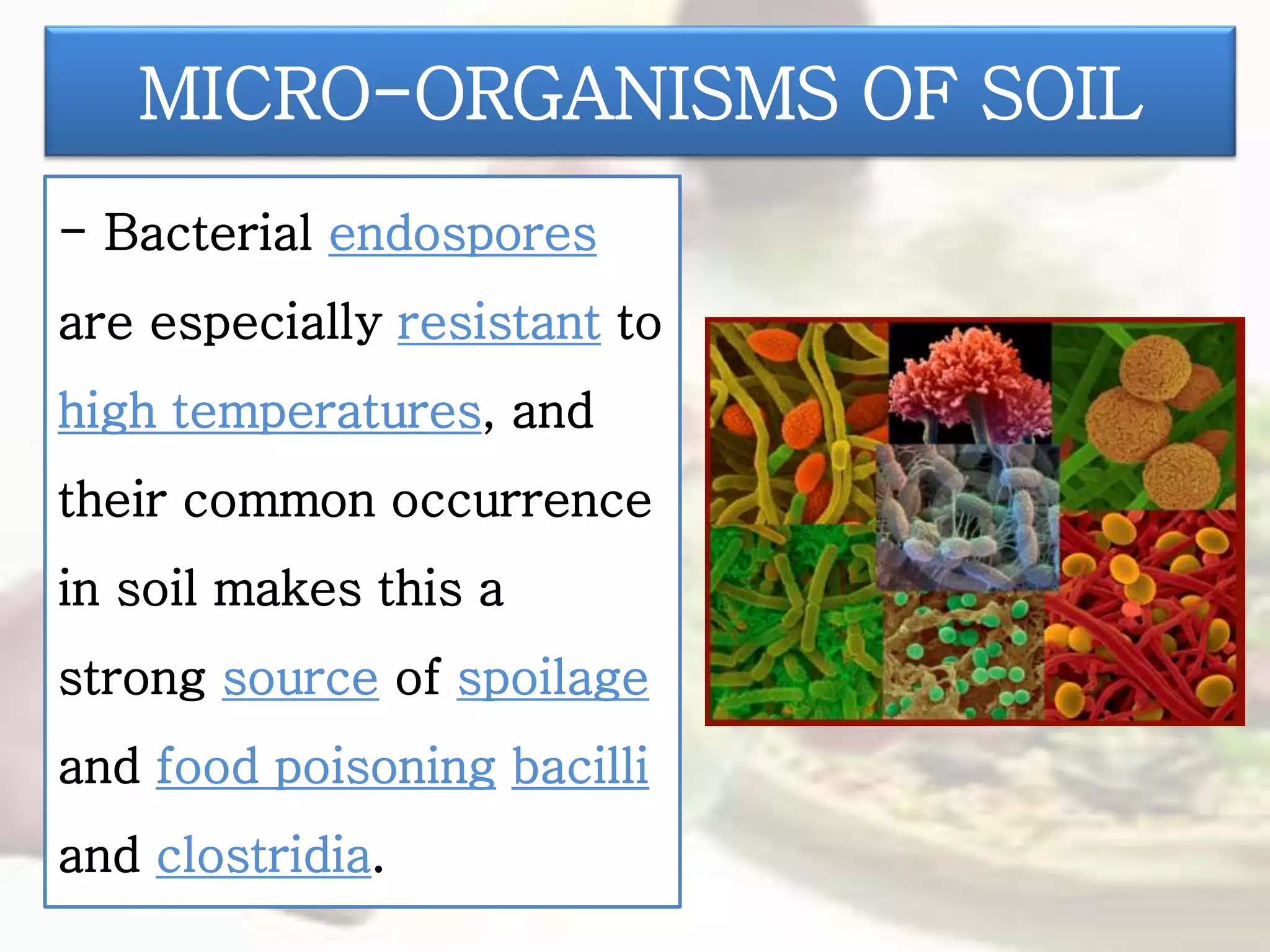 Sources of foodborne microorganisms | PPTX
