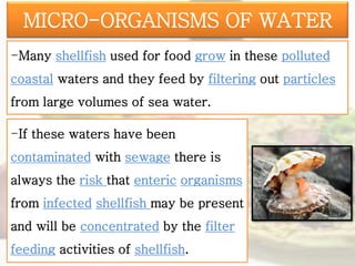 Sources of foodborne microorganisms | PPTX
