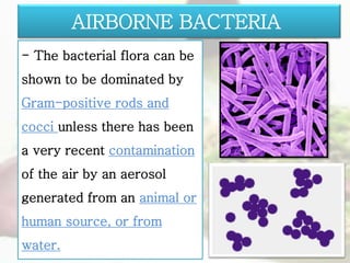 Sources of foodborne microorganisms | PPTX