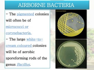 Sources of foodborne microorganisms | PPTX