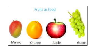 Sources of Foods | PPT
