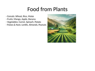 Sources of food ,importance of balanced diet presentation | PPTX