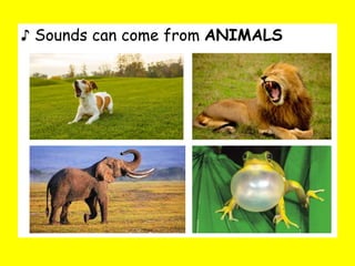 Sources of light, heat, electricity, | PPTX