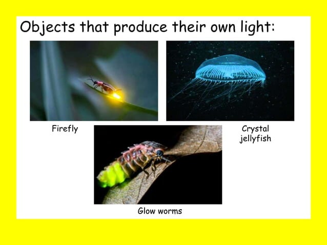 Sources of light, heat, electricity, | PPTX