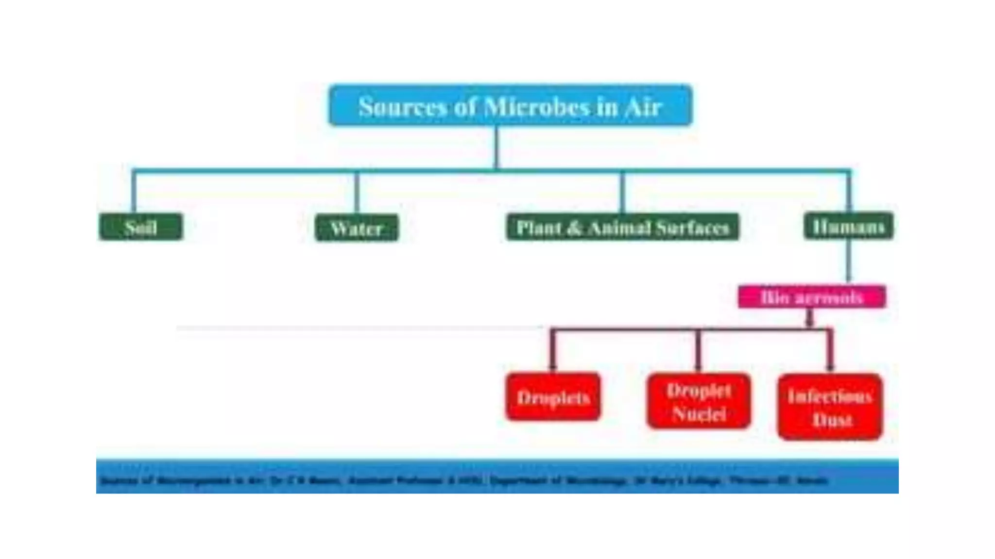 SOURCES OF MICROBES.pptx