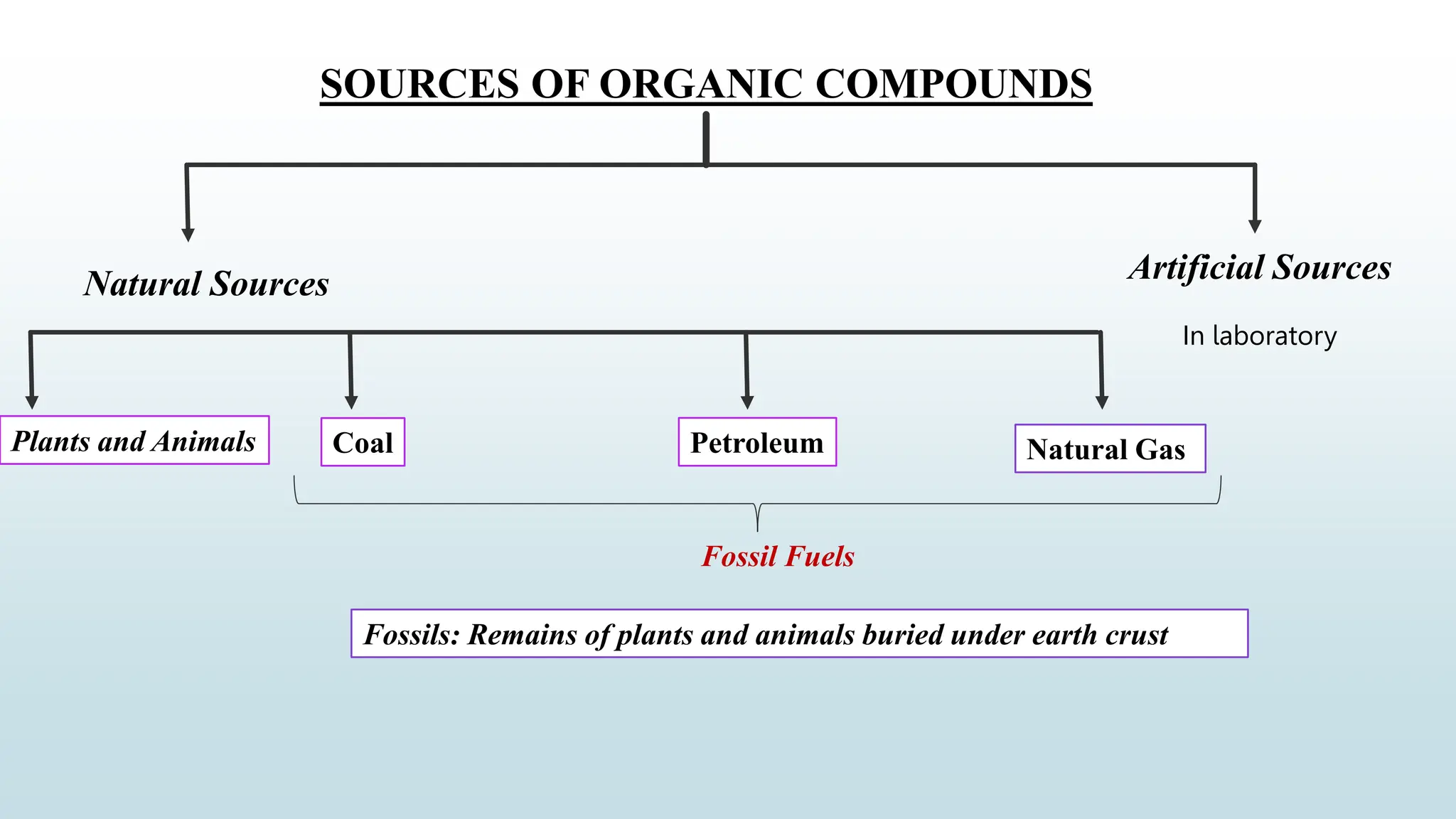 Sources of organic Compounds/Coal/CNG.pptx
