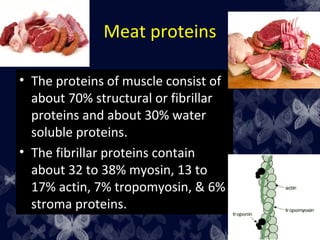 Sources of proteins | PPT