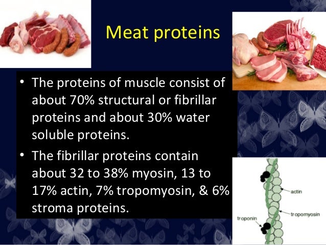 Sources of proteins