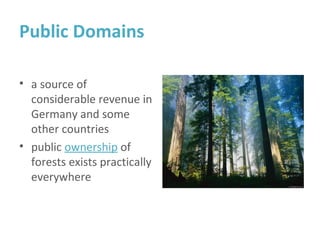 Sources Of Public Revenues | PPT