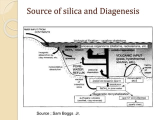 Sources of silica | PPTX