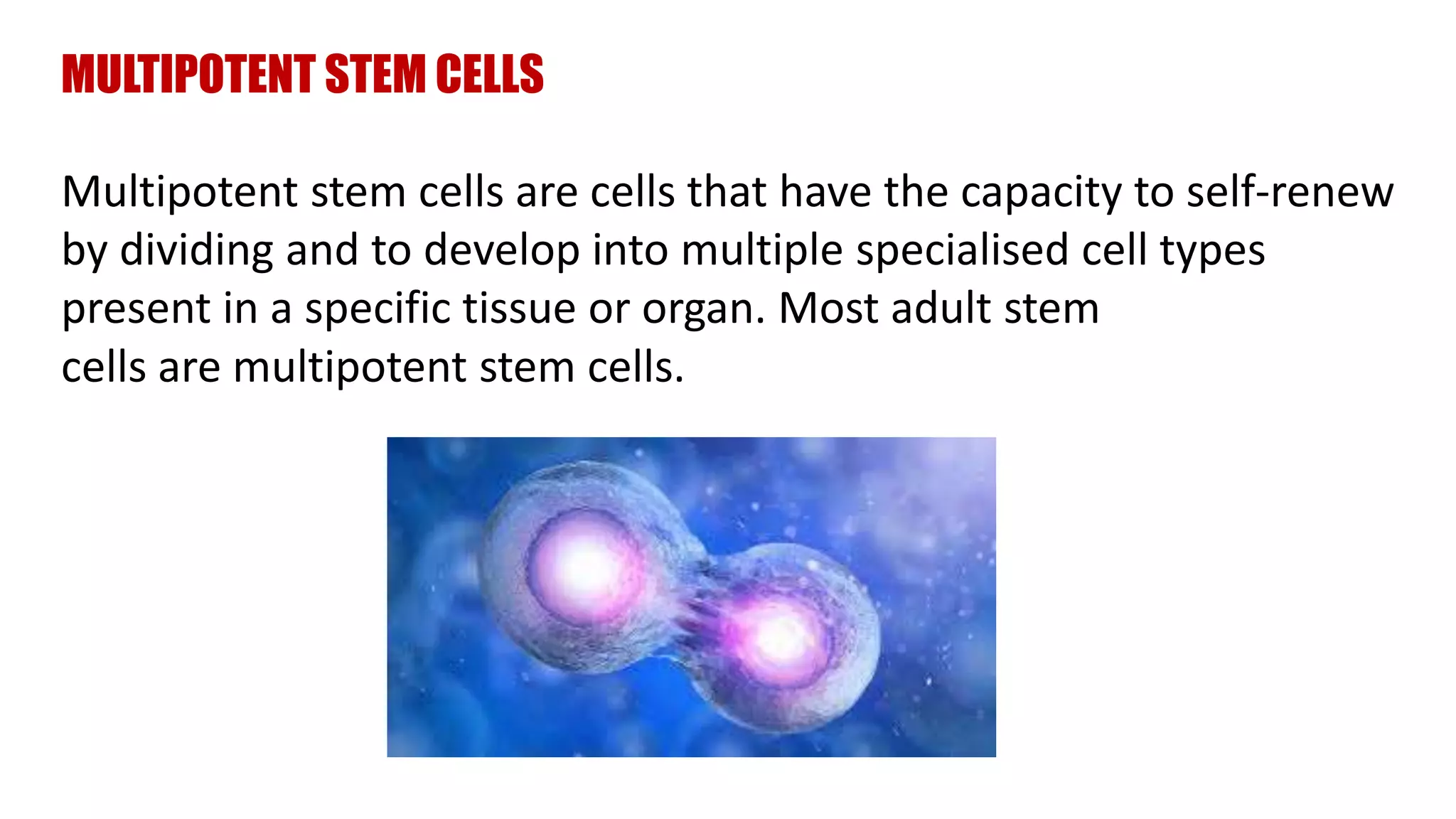 Sources of stem cells | PPTX